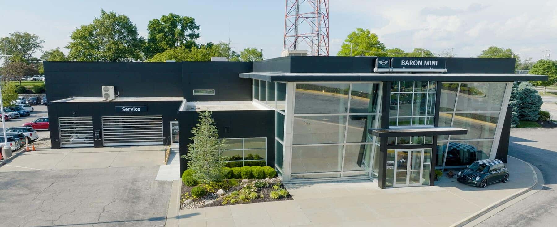 Reviews & Testimonials | Baron MINI