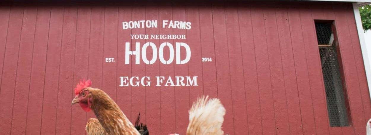 Bonton Farms Community Spotlight | Dallas DCJR