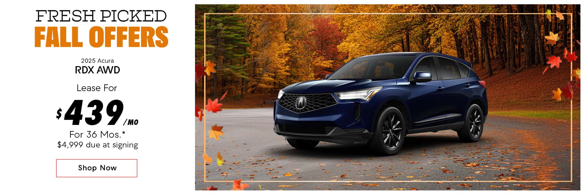 New & Used Acura Dealer in Maple Shade, NJ | Elite Acura